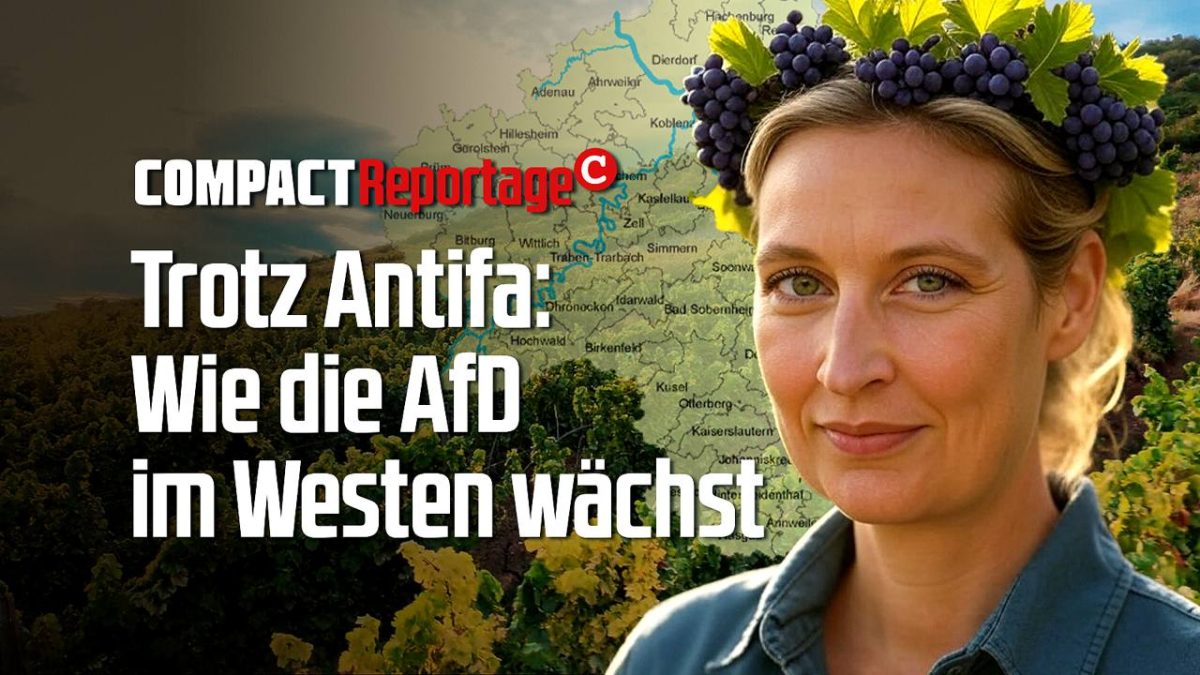JETZT ANSEHEN: Das Weidel-Interview bei COMPACT-TV - COMPACT